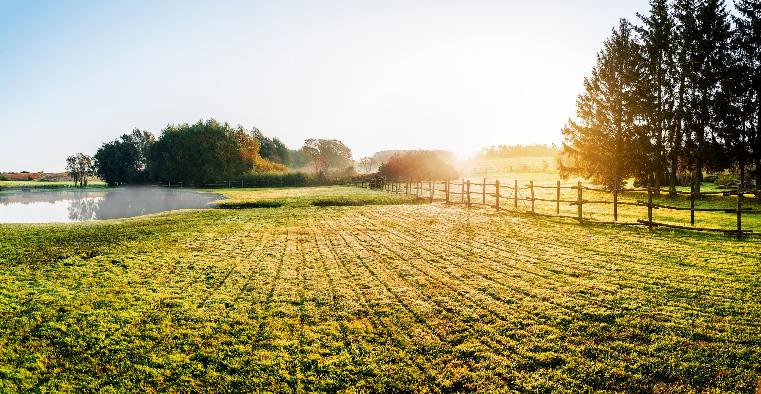 Carbon Removals and Carbon Farming (CRCF) Regulation (EU) 2024/3012 ...